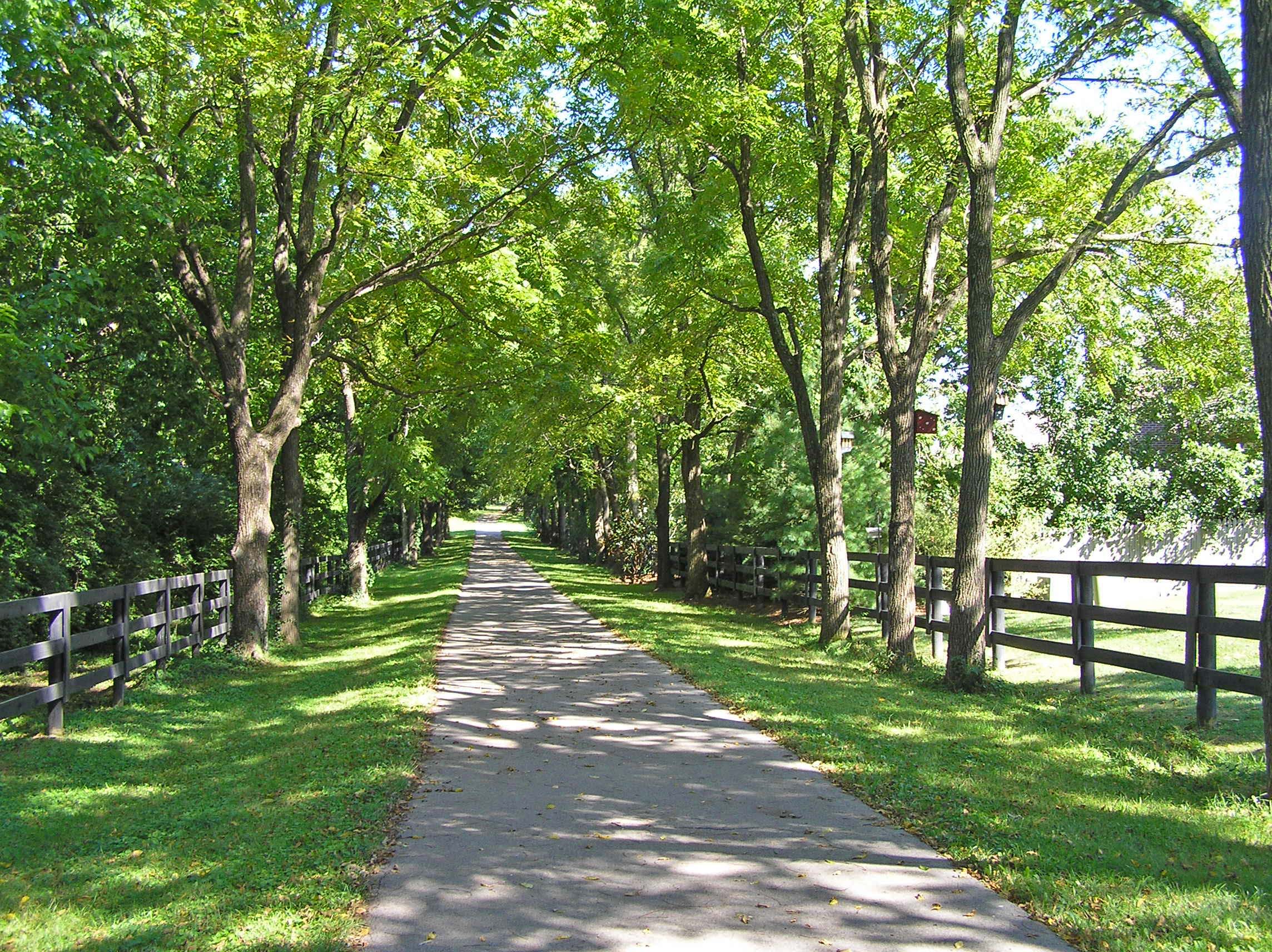 Cardinal Run Park - Lose Design