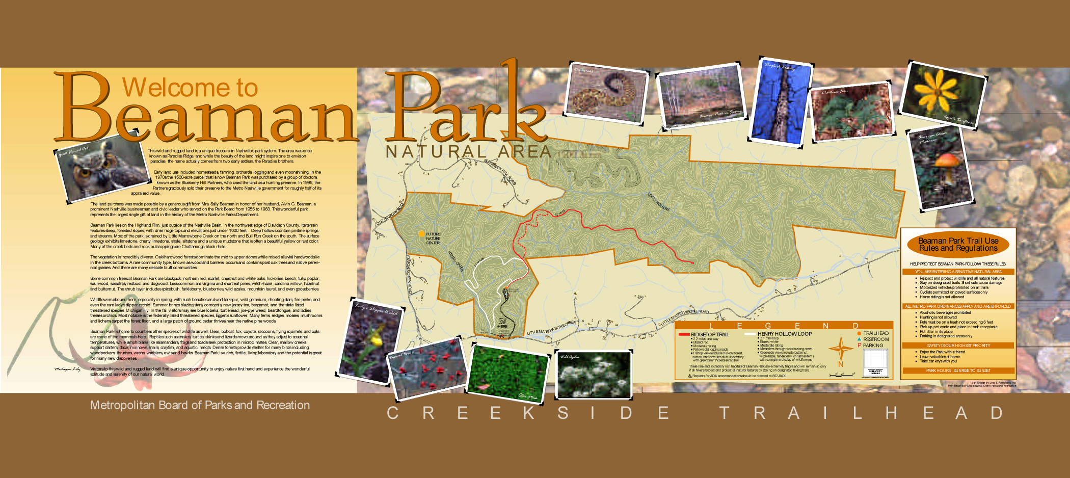 Beaman Park - Lose Design