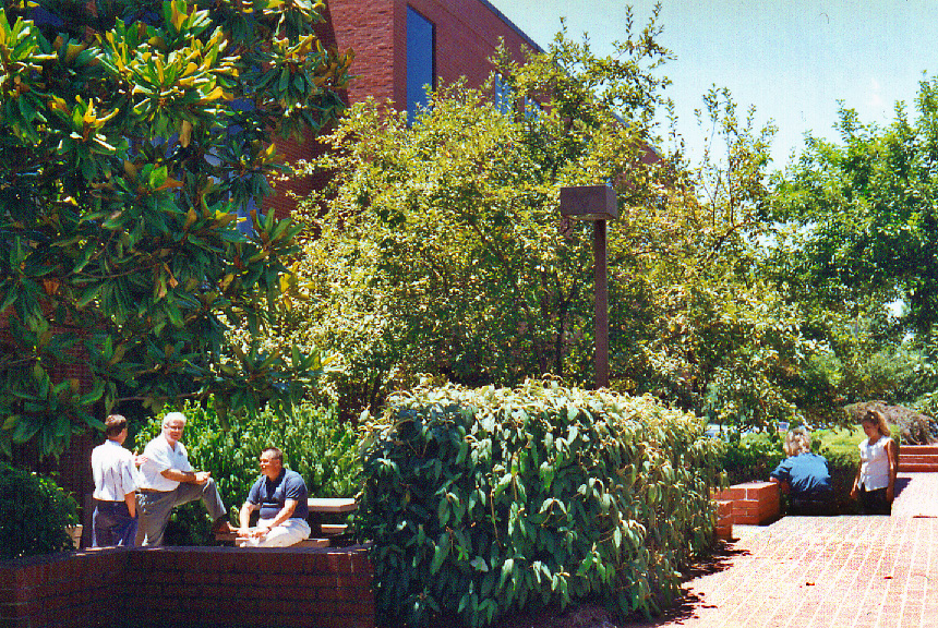 Maryland Farms - Lose Design