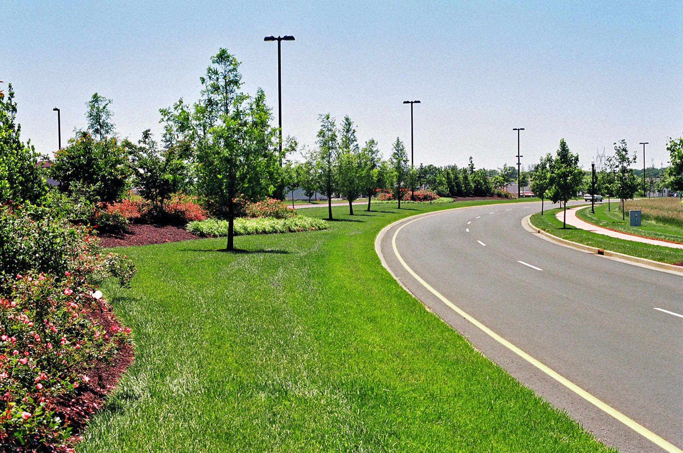 Medical Center Parkway Landscape Development - Lose Design